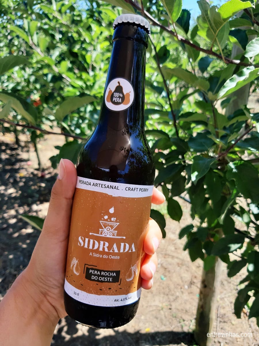 Sidrada é a Sidra do Oeste feita de maçã e pêra rocha