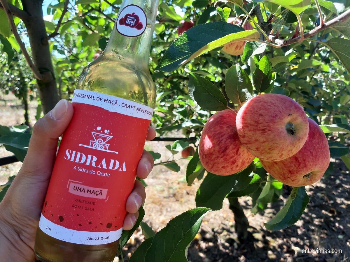 Sidrada é a Sidra do Oeste feita de maçã e pêra rocha