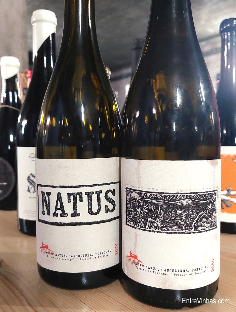 Vinho Rosé, Palhetes e Claretes