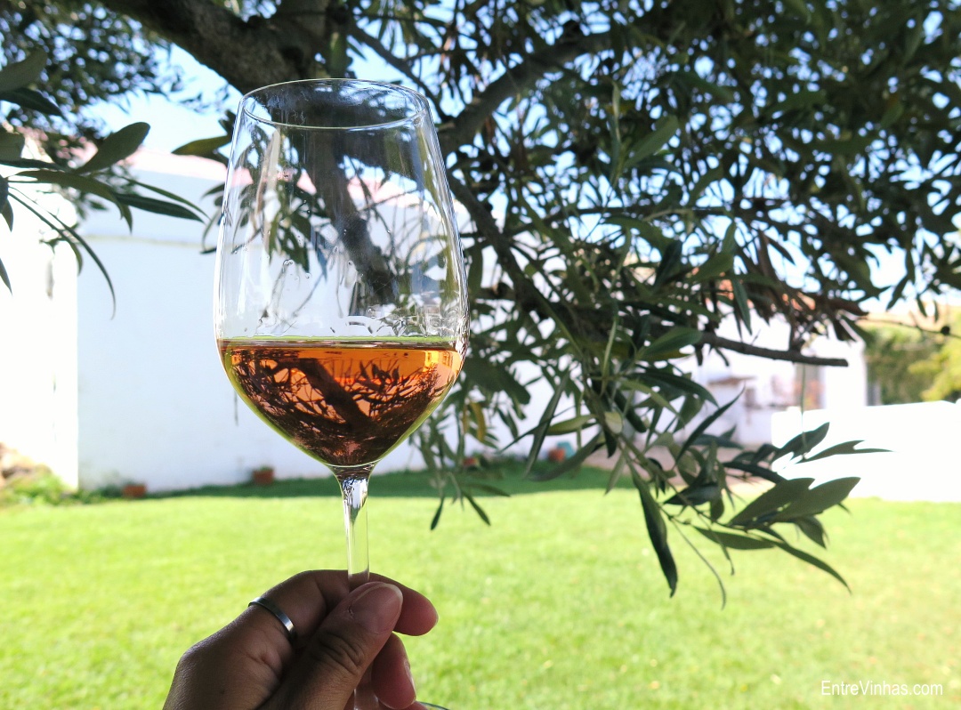 Vinho Rosé, Palhetes e Claretes